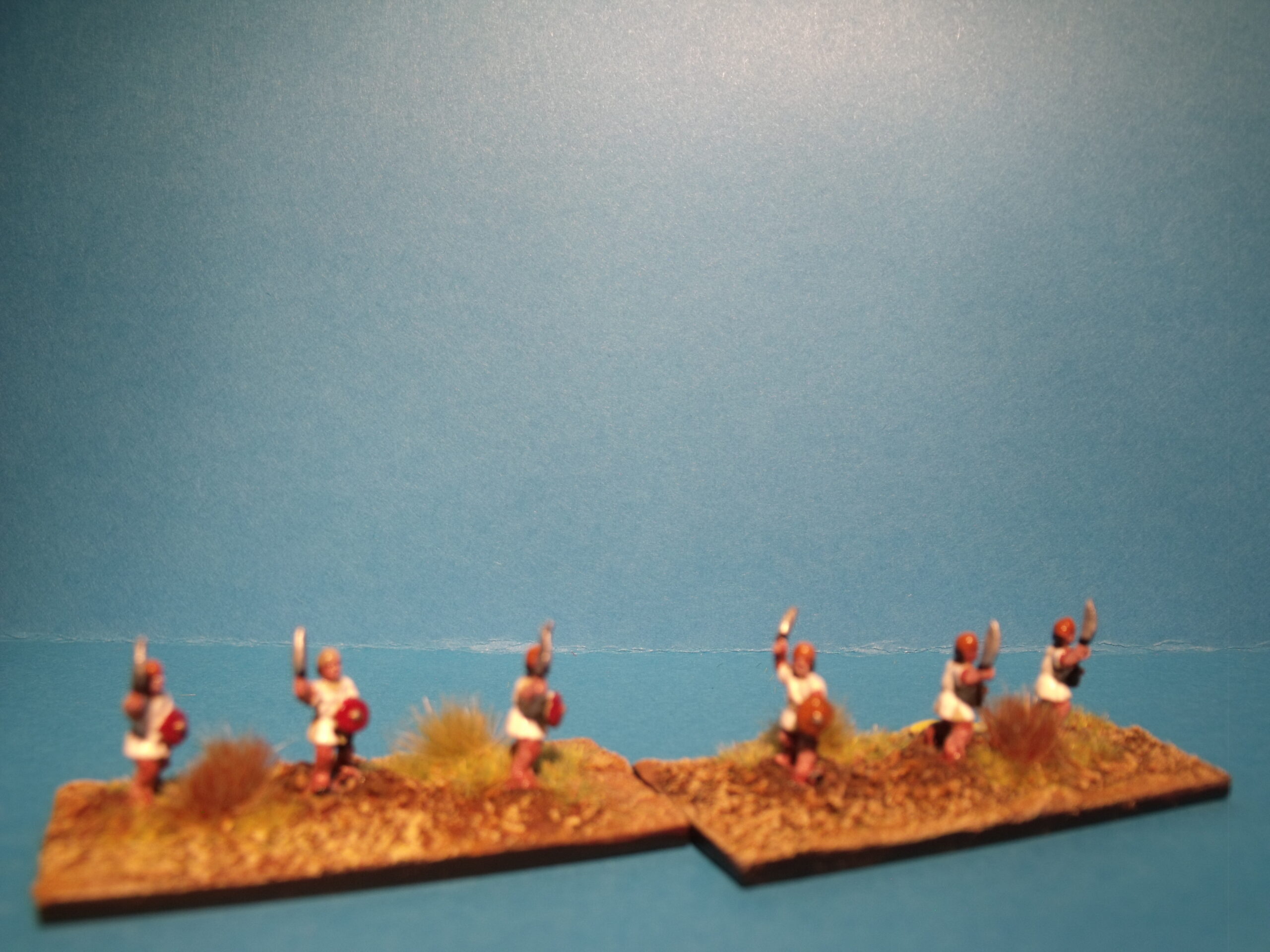 Spanish Caetrati - newlinedesigns.co.uk